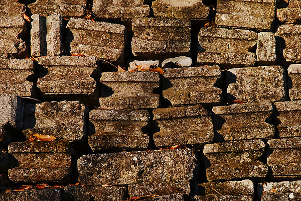 이미지포털 아이클릭아트