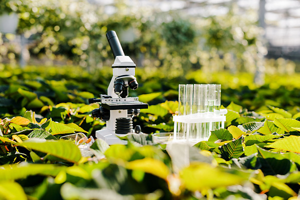 이미지포털 아이클릭아트