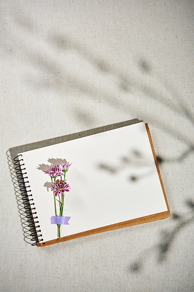 이미지포털 아이클릭아트