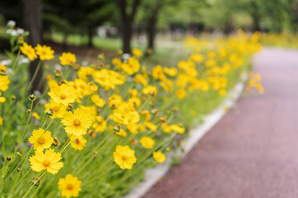 이미지포털 아이클릭아트